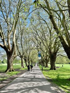 The Ultimate Cambridge Day Trip: A Perfect Day in the Stunning City ...
